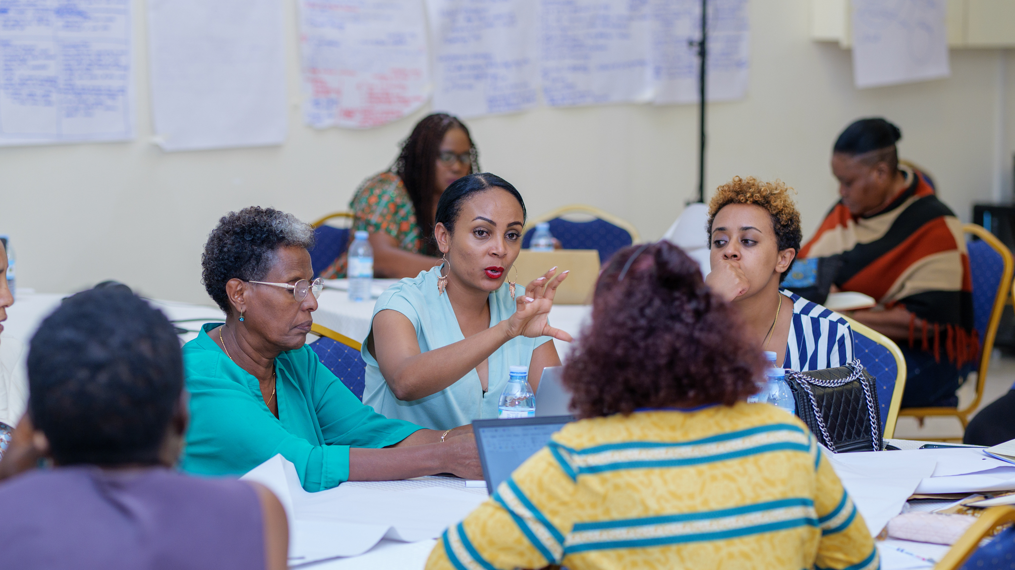 Rethinking Women's Inclusion in Peace Processes: What We Learned from a ...